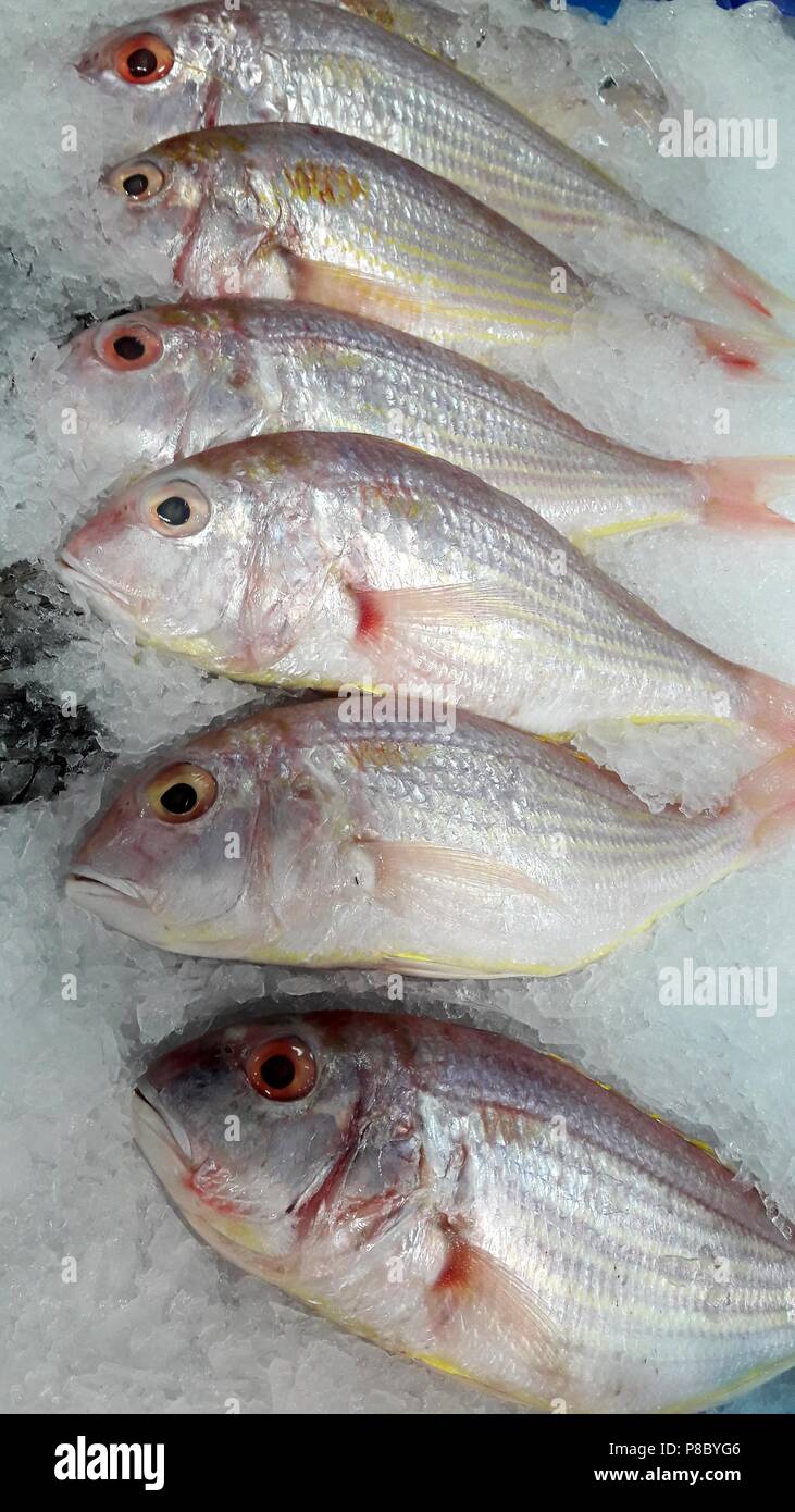 Nemipterus hi-res stock photography and images - Alamy