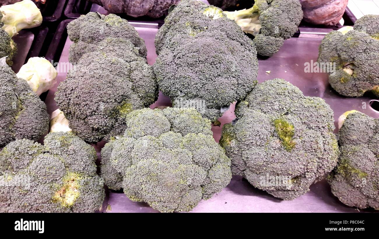 A lot of Broccoli (Brassica oleracea) in the market Stock Photo - Alamy