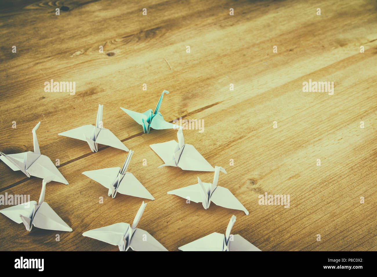 Leadership concept with paper birds on wooden background. One leader ...
