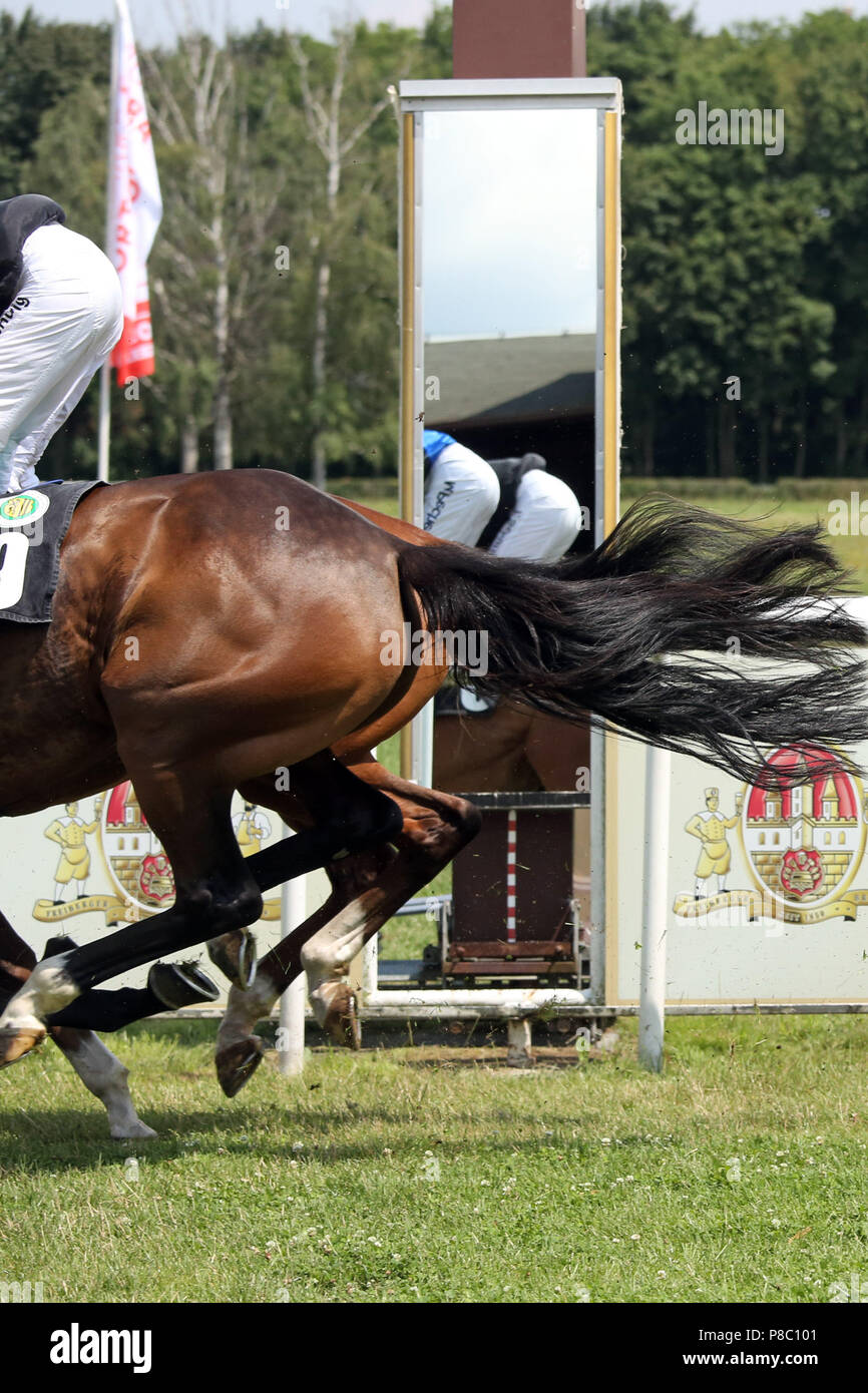 Gate pass hi-res stock photography and images - Alamy