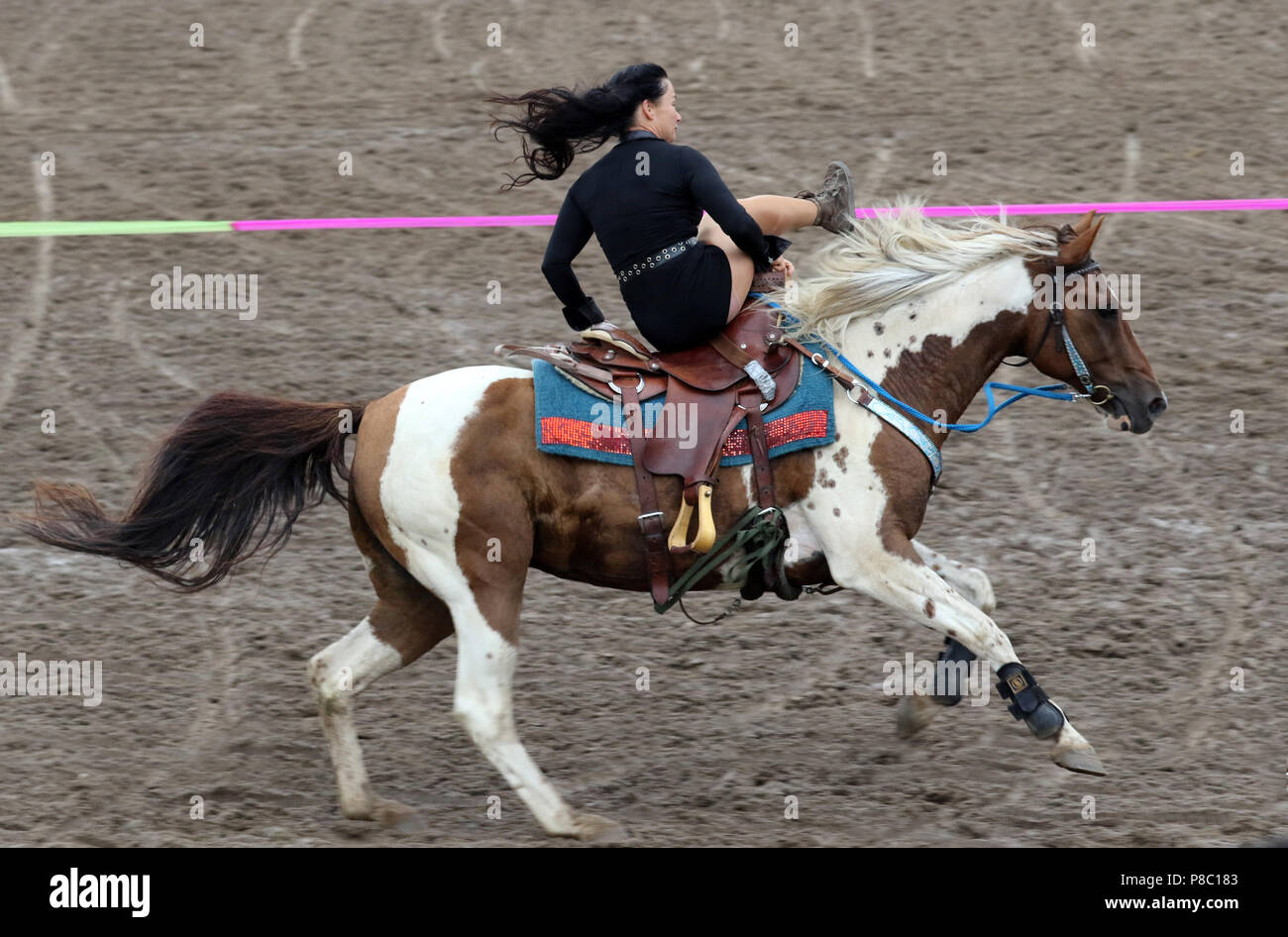 Trick horse hi-res stock photography and images - Alamy