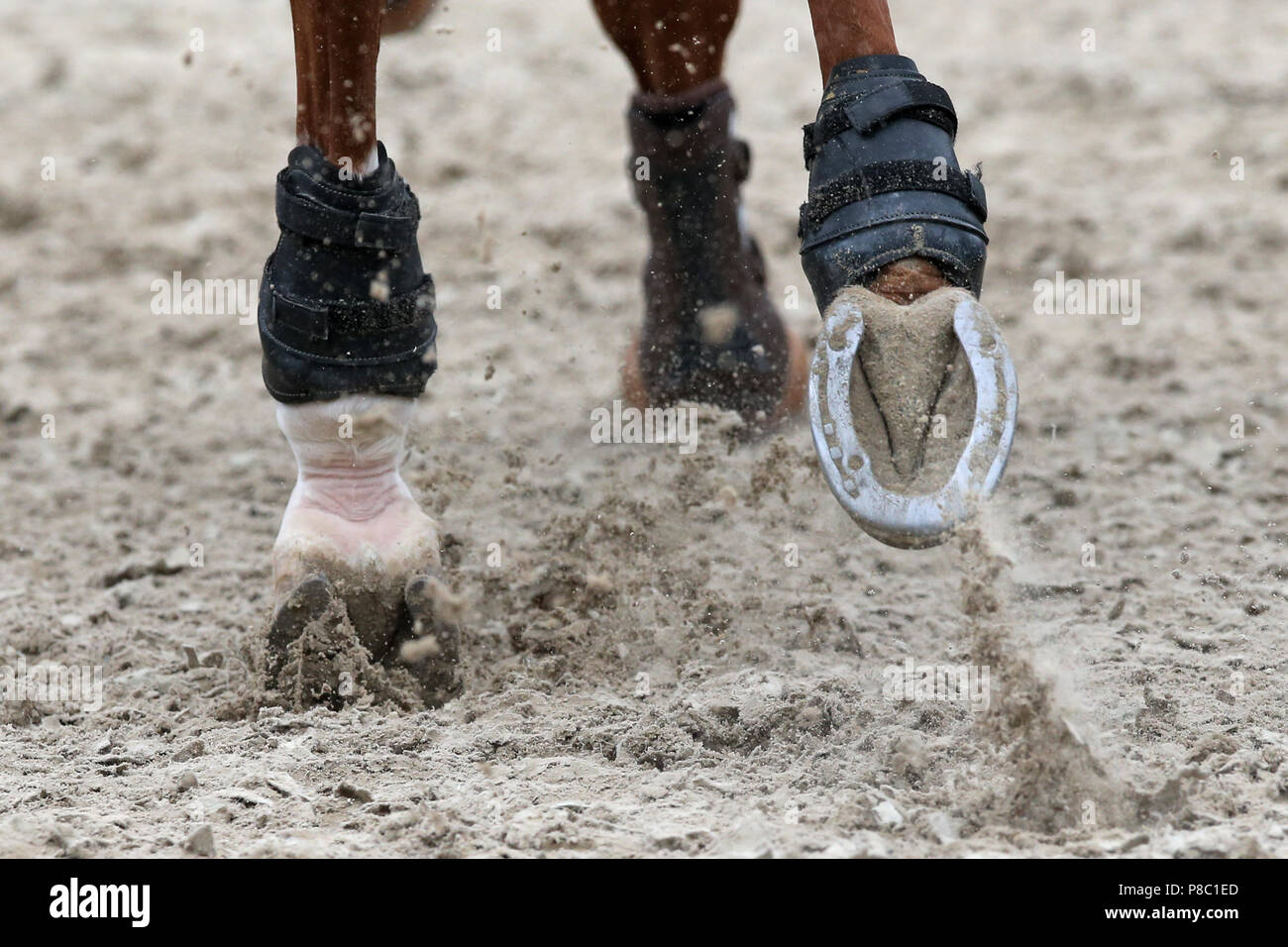 Berlin, horse legs galloping Stock Photo - Alamy