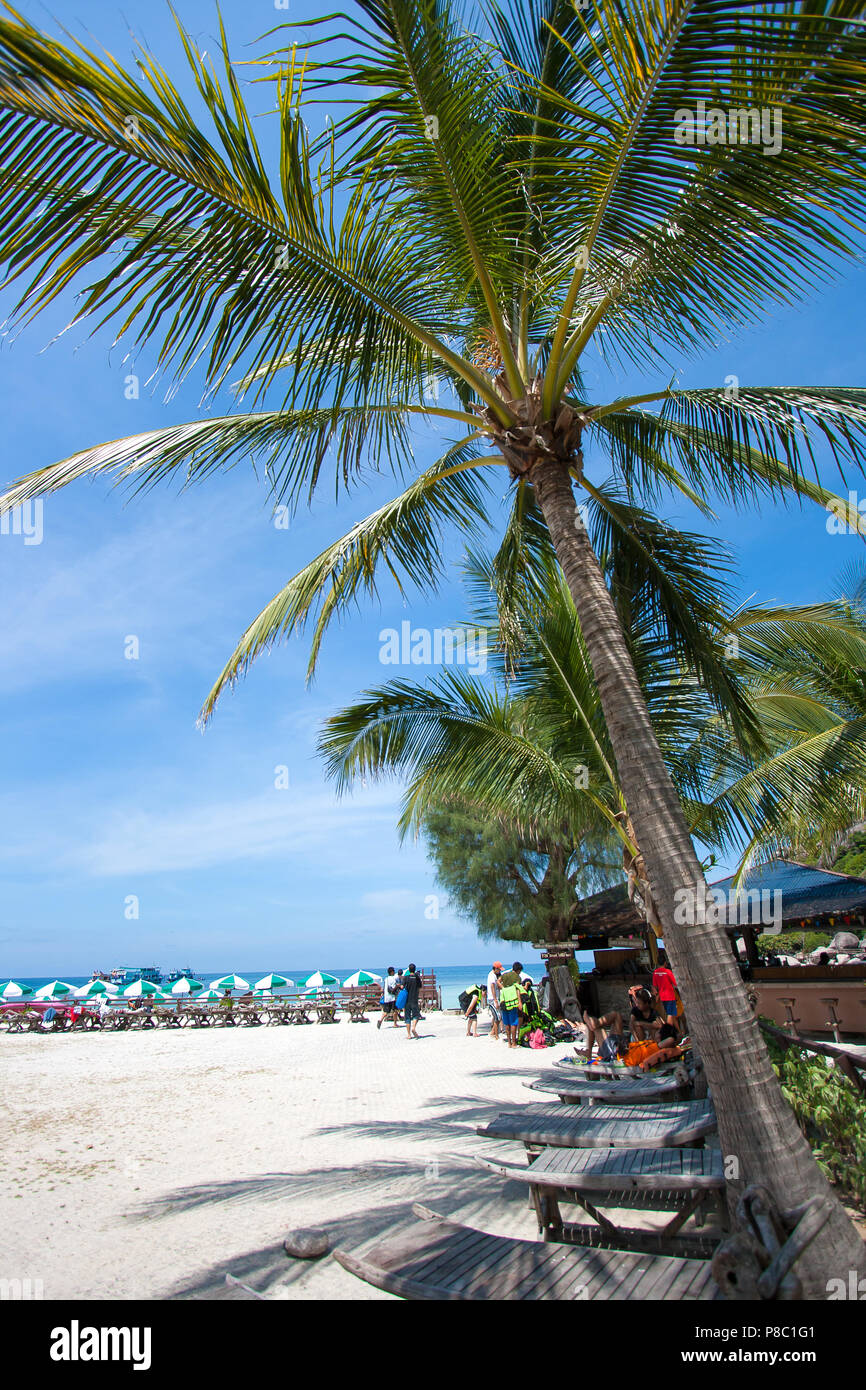 Sea at Nang Yuan island, Koh Tao, Thailand Stock Photo - Alamy