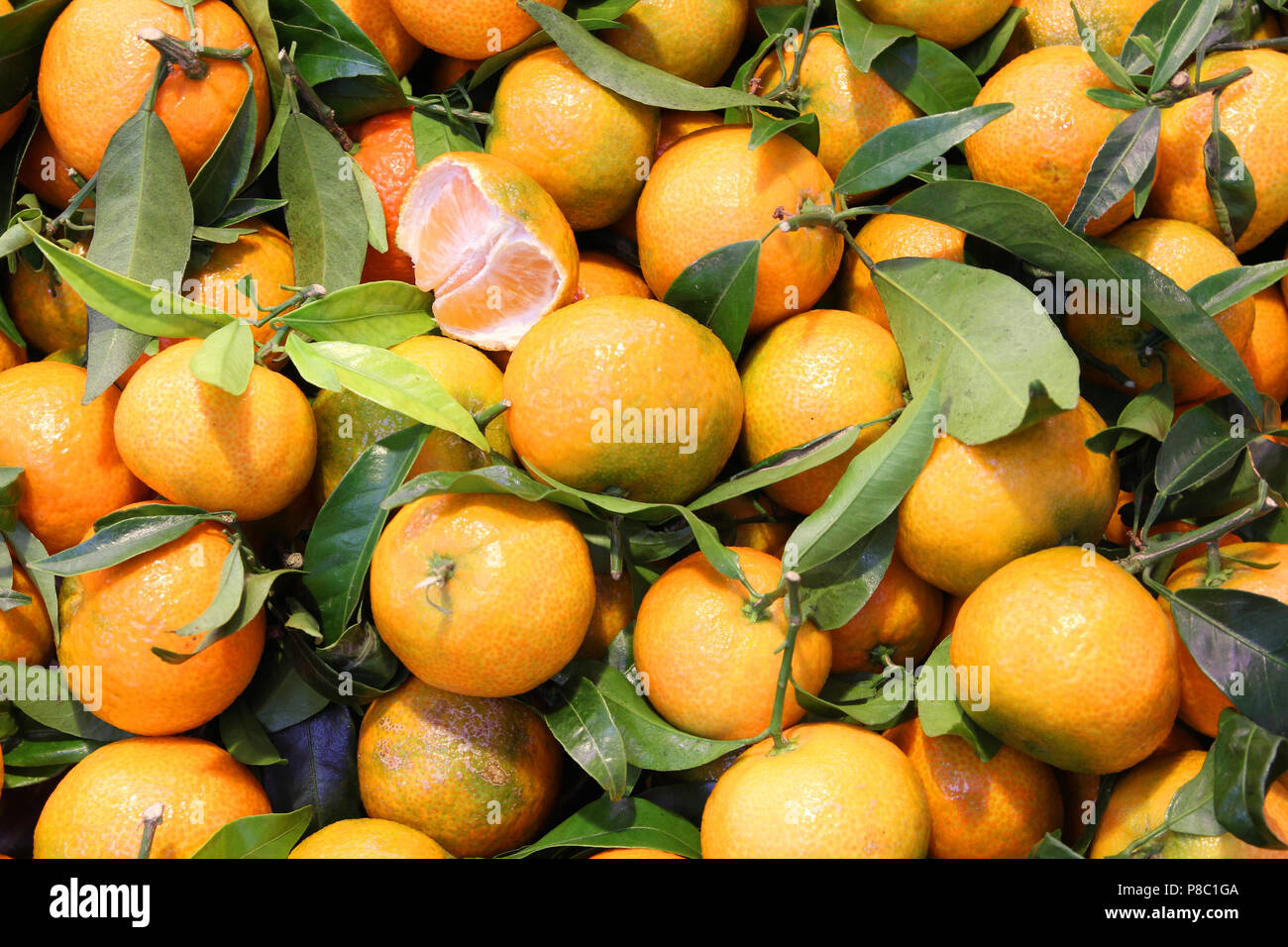 Mandarin oranges leaves in hi-res stock photography and images - Alamy