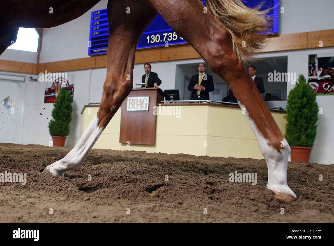 Photo auction hi-res stock photography and images - Alamy