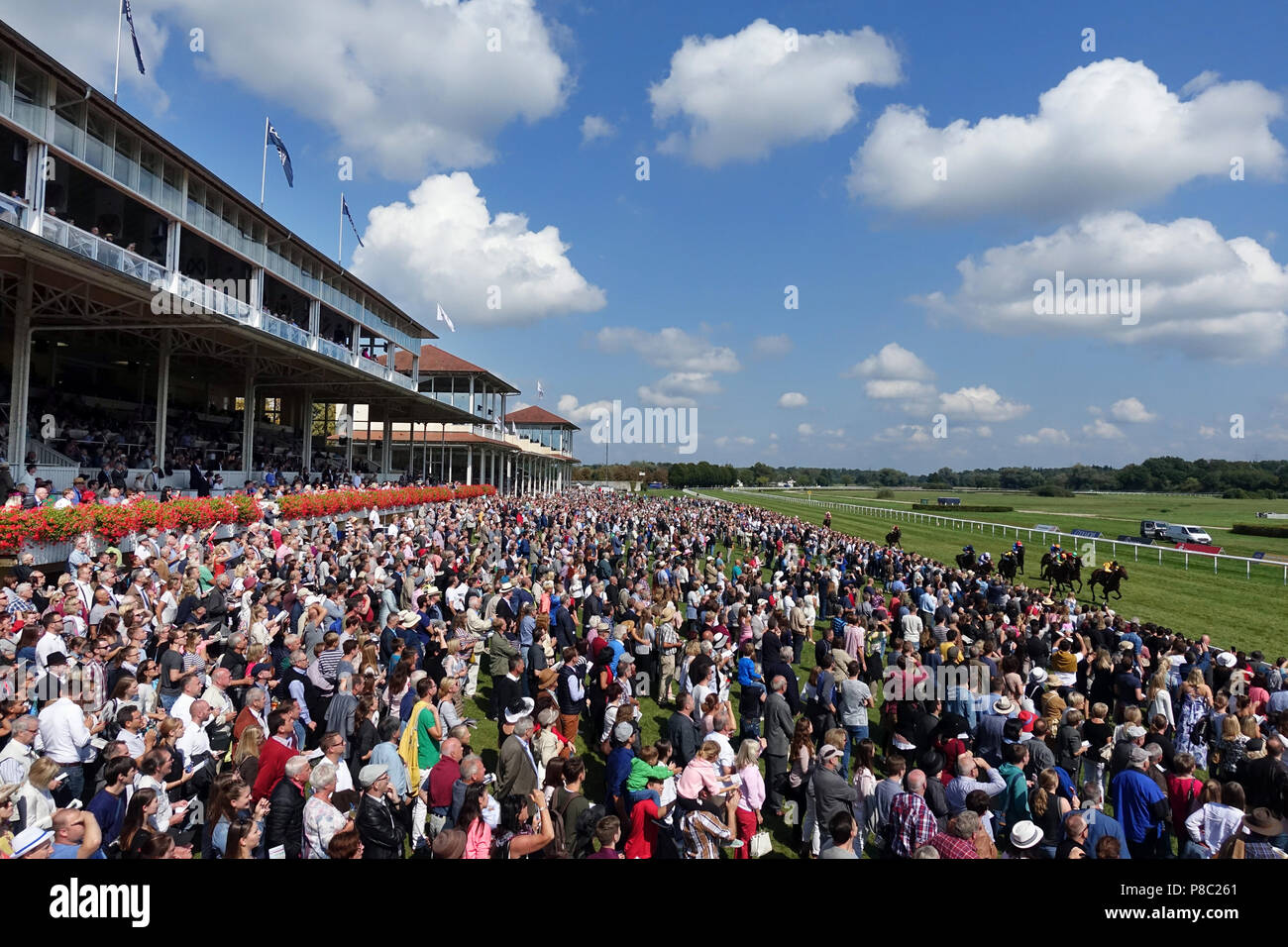 Horse Racing Crowd Spectators Audience Stock Photos & Horse Racing ...