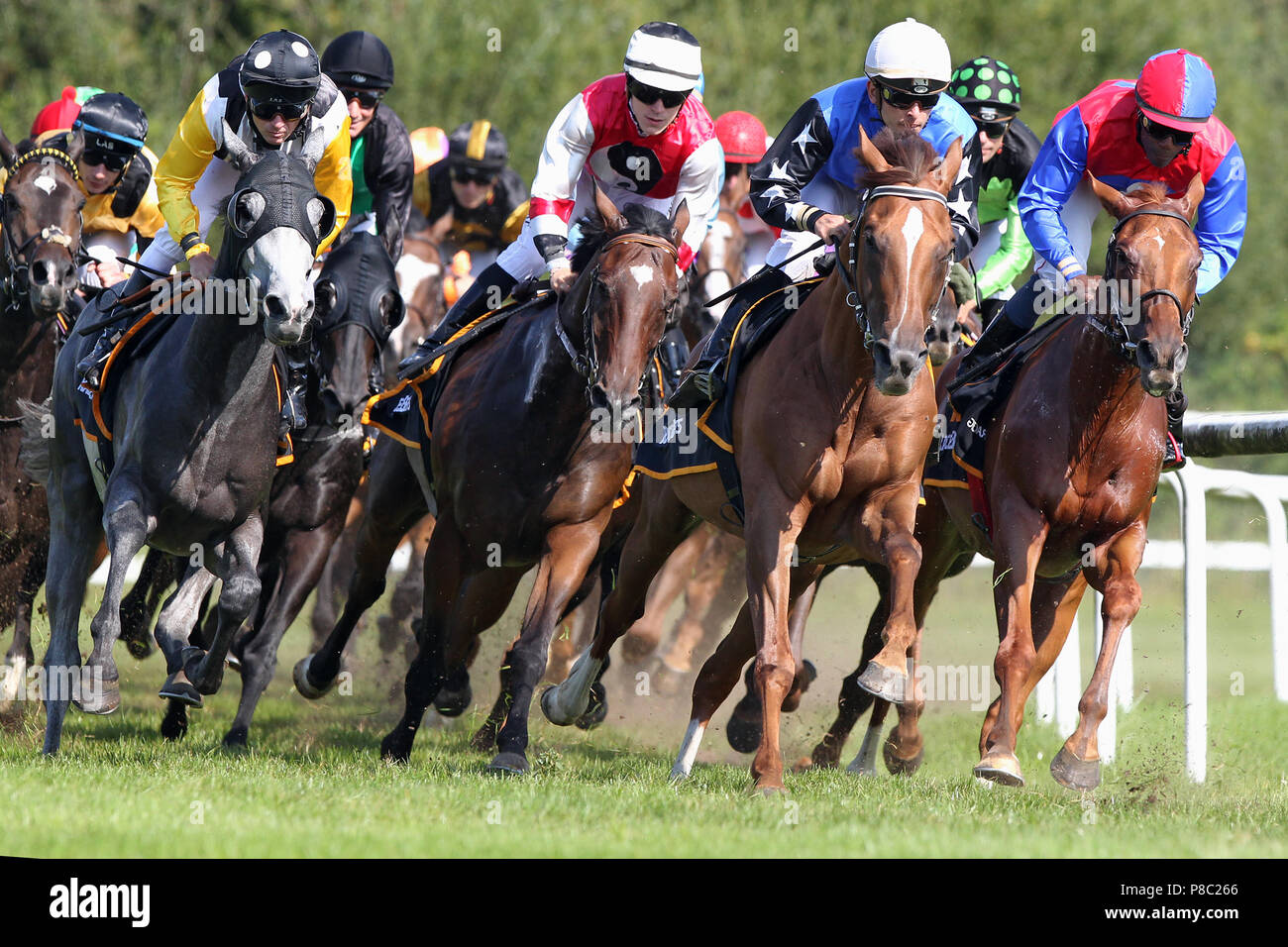 Grand prix horses hi-res stock photography and images - Alamy