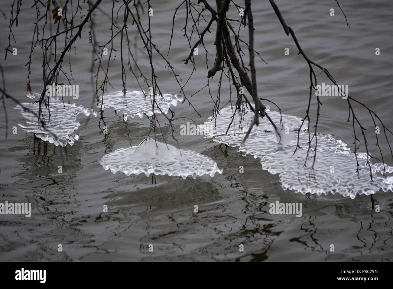 Chunks in water hi-res stock photography and images - Alamy