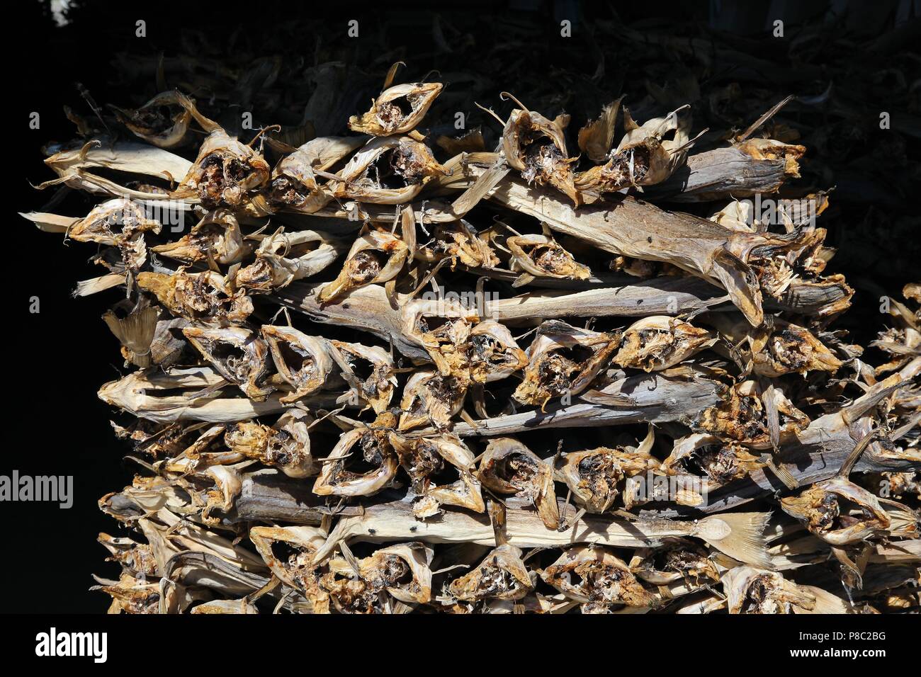 Dried fish in Norway - sun dried cod stockfish in Lofoten. Traditional ...