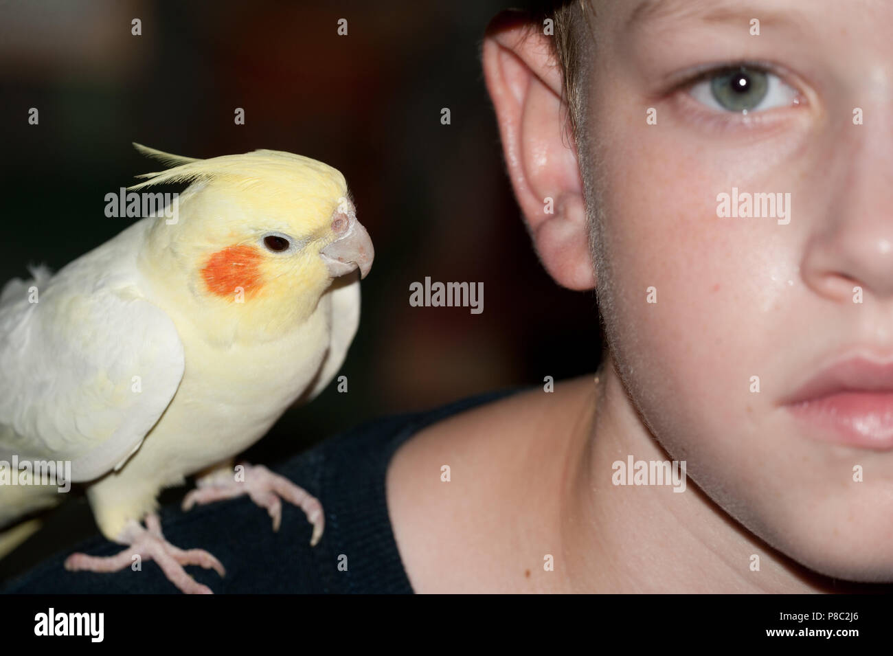 Half man half parrot hi-res stock photography and images - Alamy