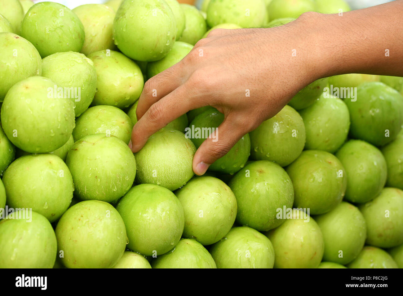 Monkey apple hi-res stock photography and images - Alamy