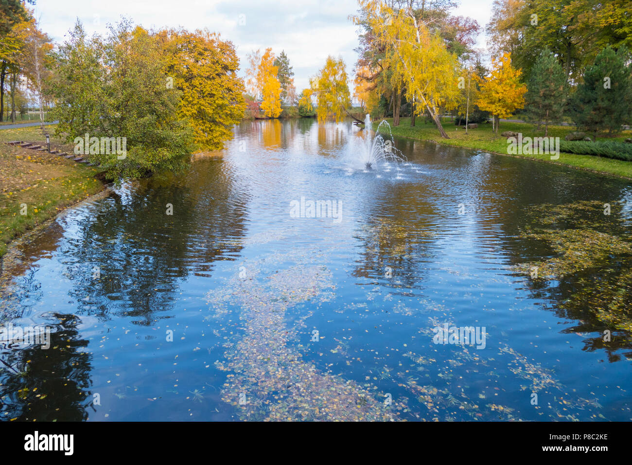 Steps leading down to the bank of the river with floating leaves on the ...