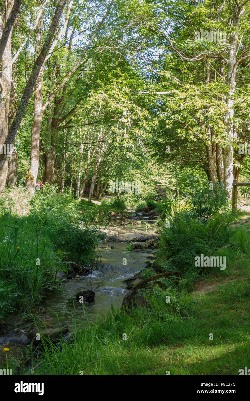 River in a park during spring Stock Photo - Alamy