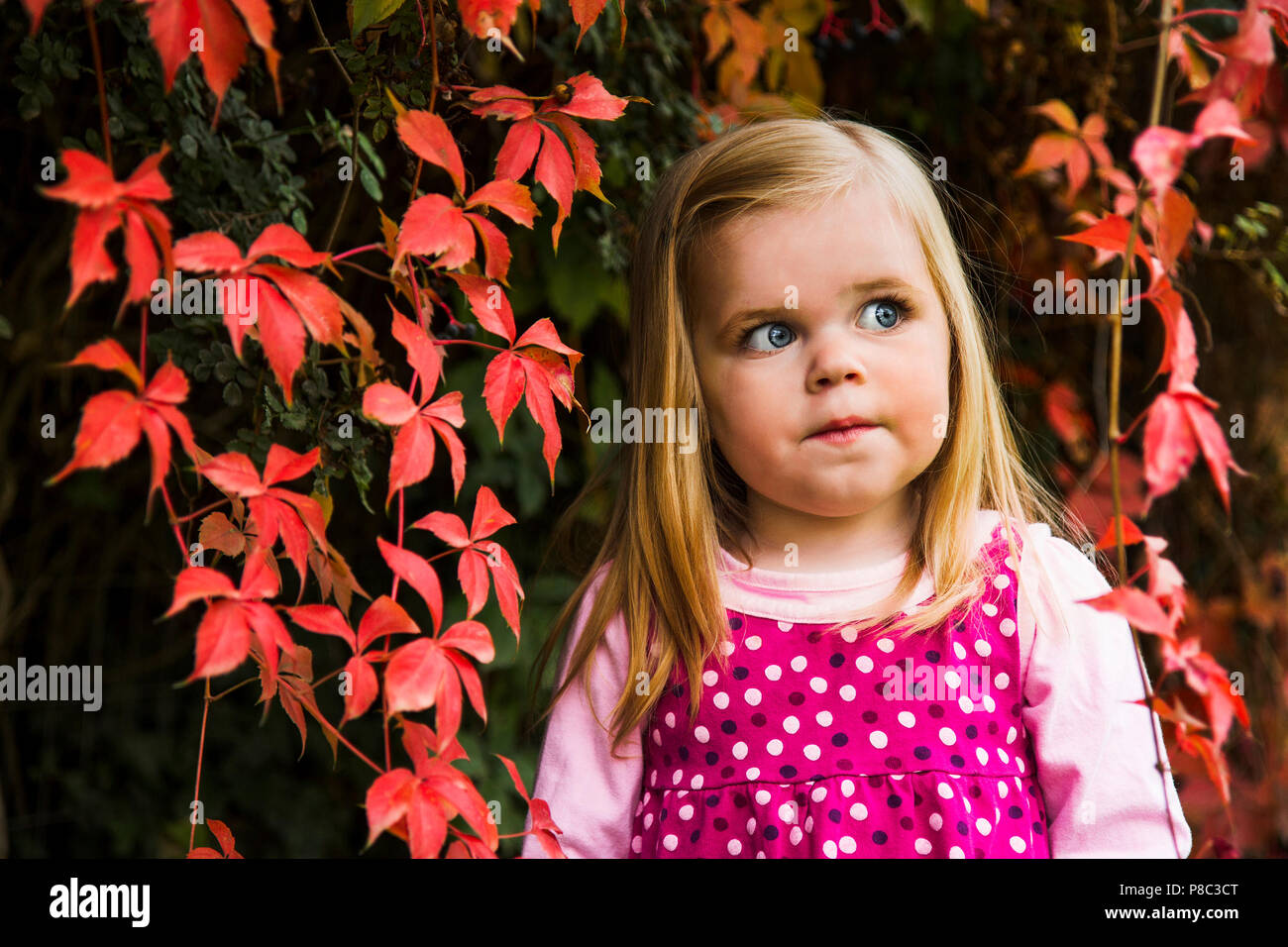 Portrait of a young girl agains leaves showing fall/autumn colors Stock ...