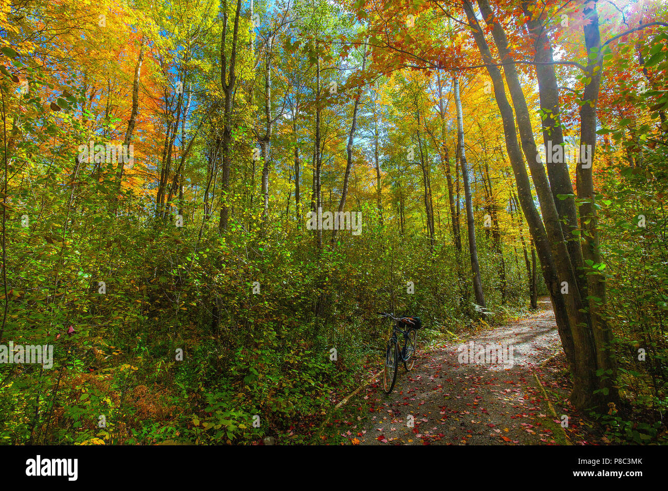 Autumn colors around Lake Boivin in Granby,Eastern Townships, Quebec ...