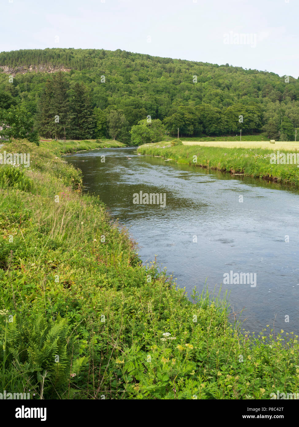 The River Don at the Brux Estate in Aberdeenshire Stock Photo - Alamy