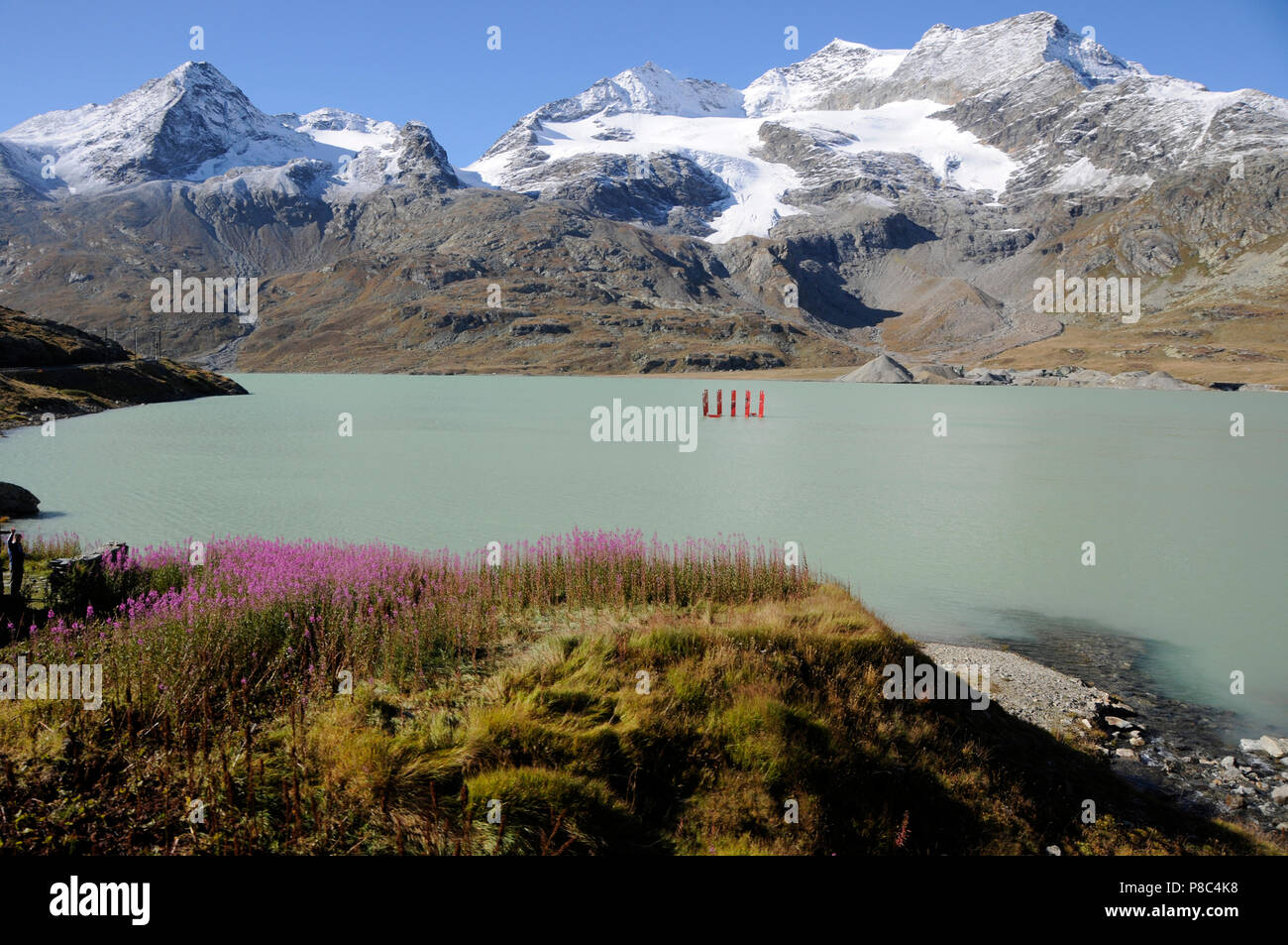 Swiss Alps: The glacier lake "Lago Bianco* at Bernina Hospitz in the ...