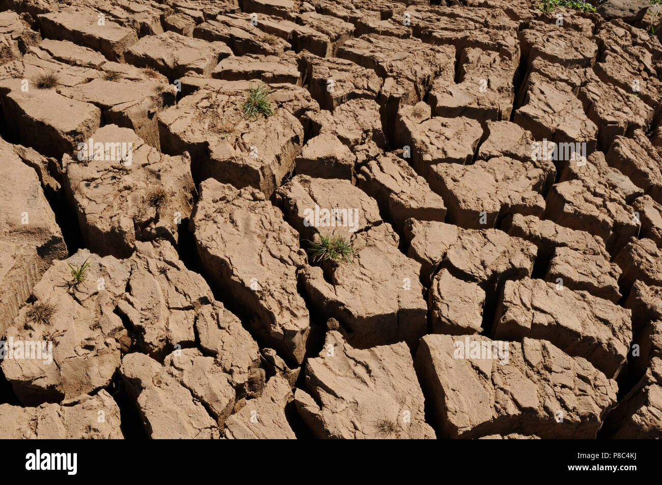 Dried out earth hi-res stock photography and images - Alamy