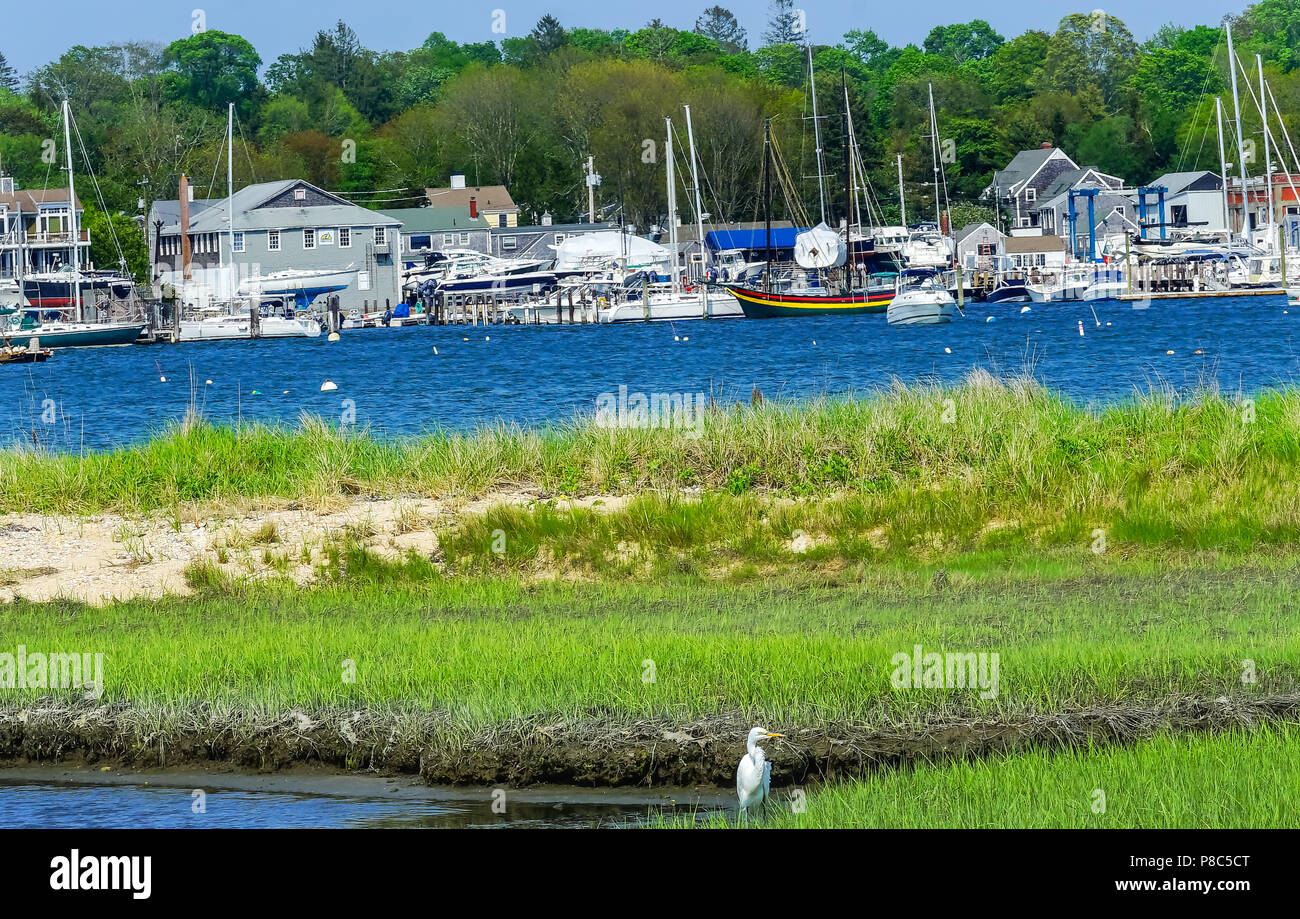 Great White Egret Marsh Sailboats Piers Moorings Padnaram Village ...