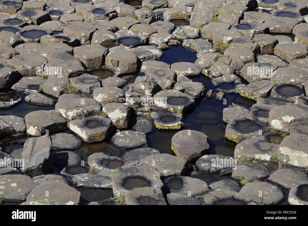The Giant's Causeway is an area of about 40,000 interlocking basalt ...