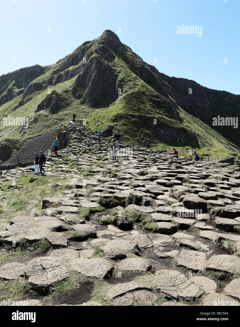 The Giant's Causeway is an area of about 40,000 interlocking basalt ...