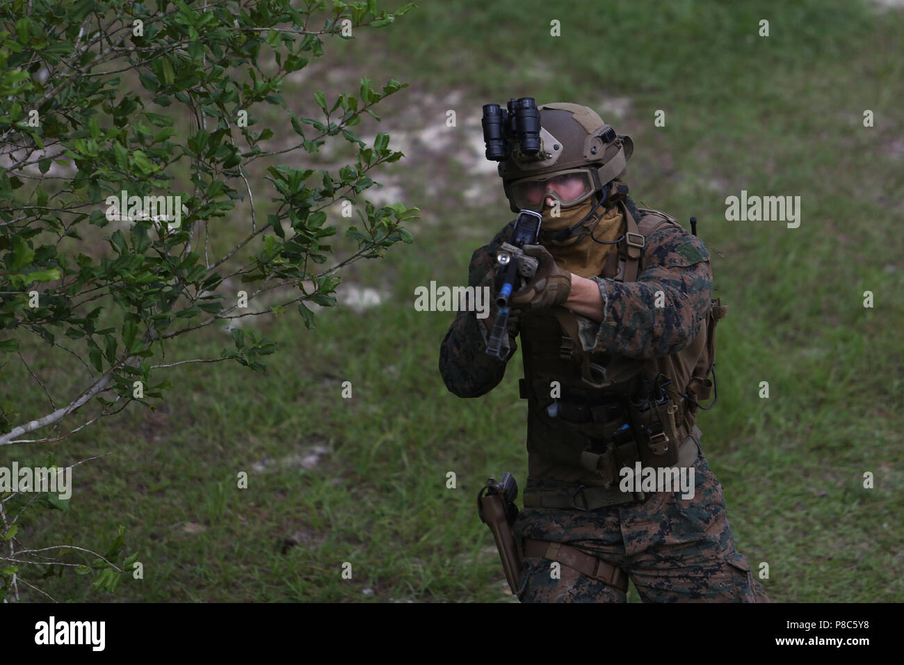 Security platoon element hi-res stock photography and images - Alamy