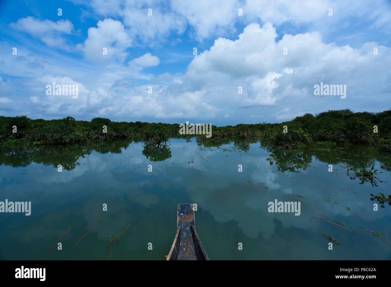 Ratargul is a fresh water swamp forest situated in Sylhet by the river ...