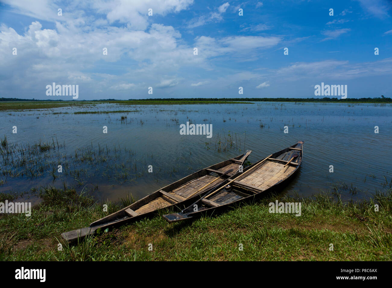 Country boats on the marsh at Gowainghat. Sylhet, Bangladesh Stock ...