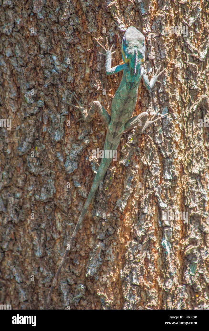 Hoi An, Vietnam - one of the stunning things about Vietnam is the ...