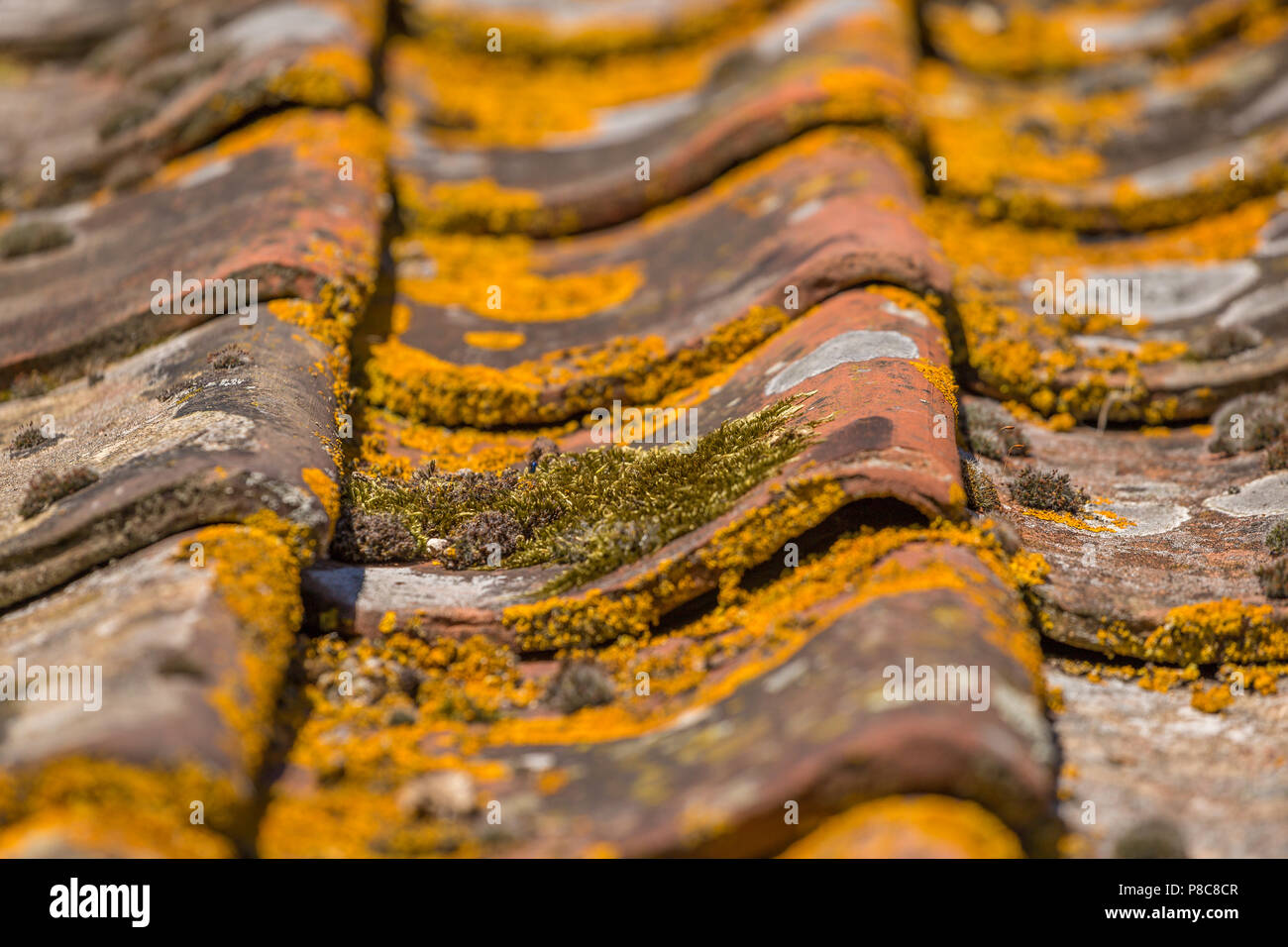 Old rusty roof hi-res stock photography and images - Alamy