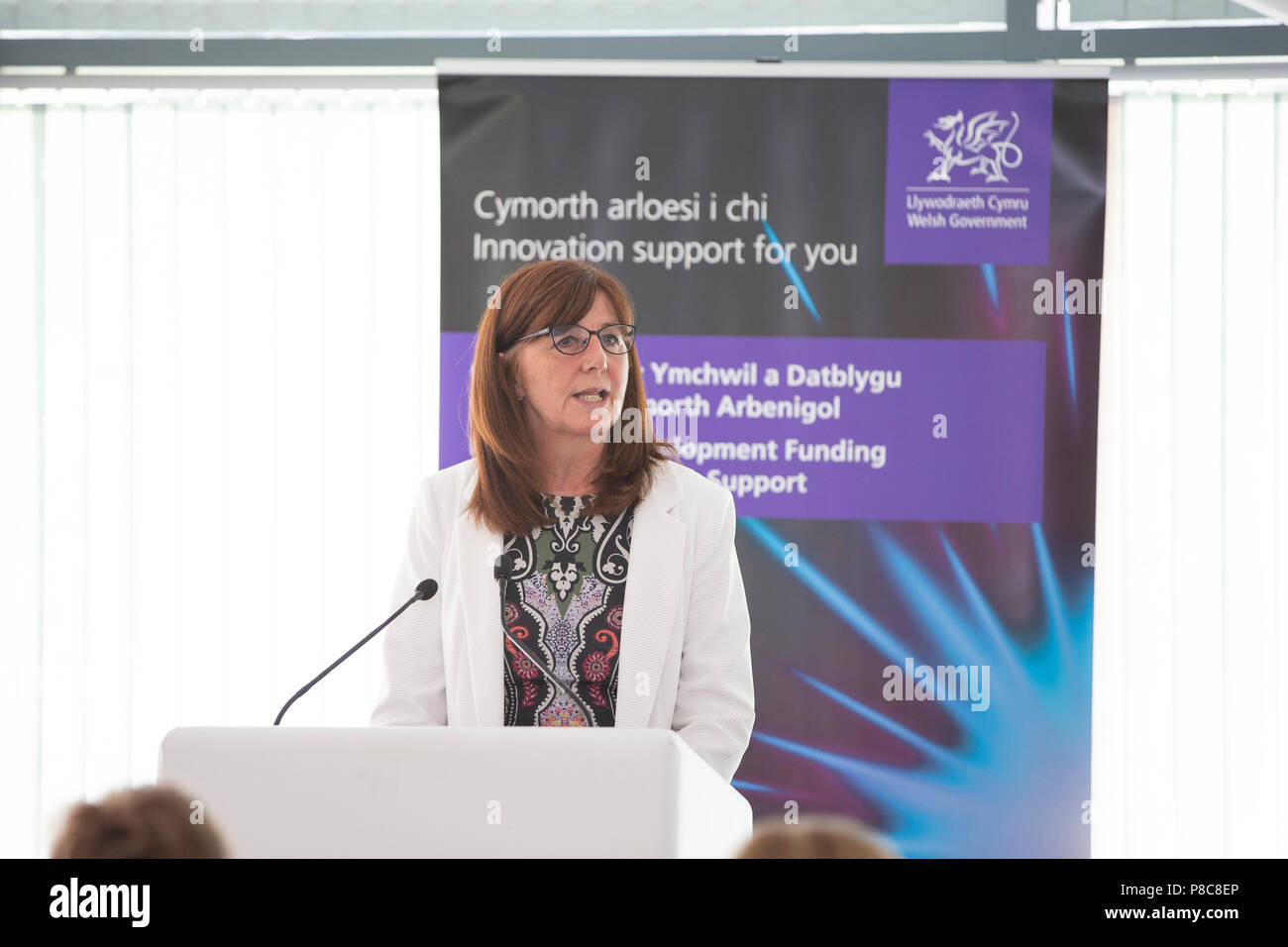 Welsh Assembly Minister Lesley Griffiths, Cabinet Secretary for the ...