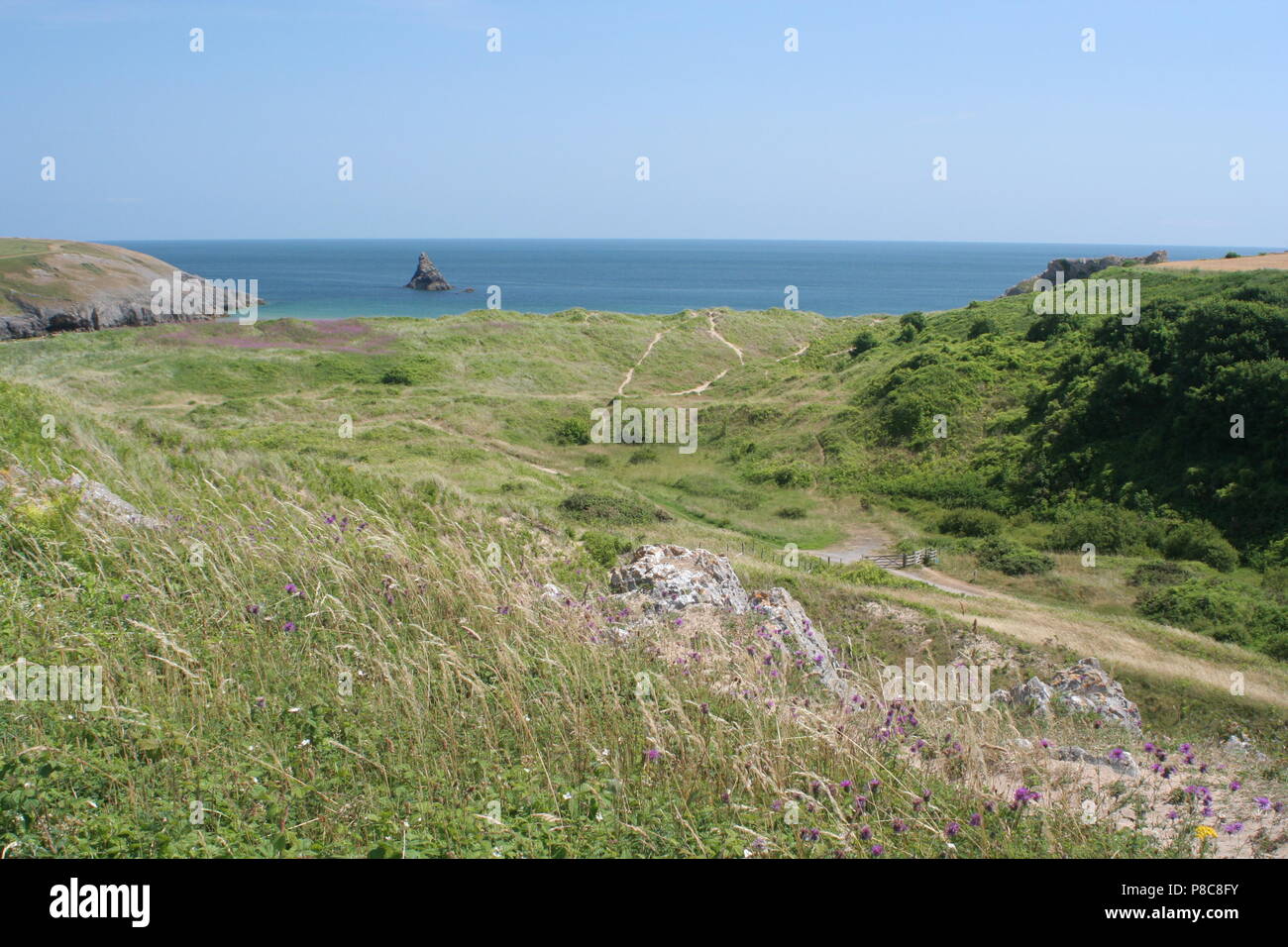 Welsh campagna hi-res stock photography and images - Alamy