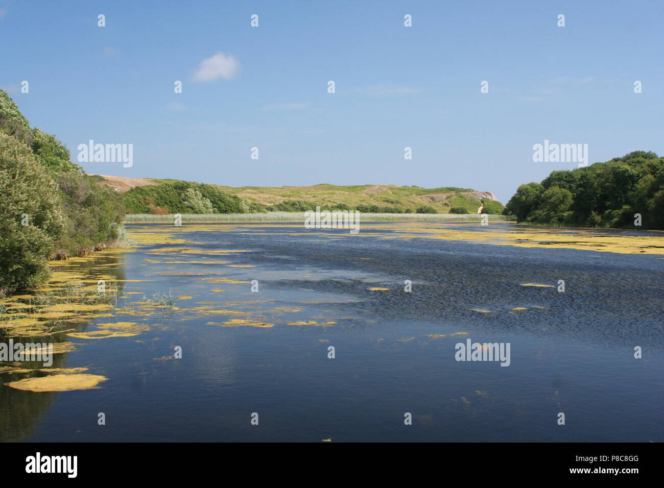 Bosherston Lily Ponds Stock Photo - Alamy