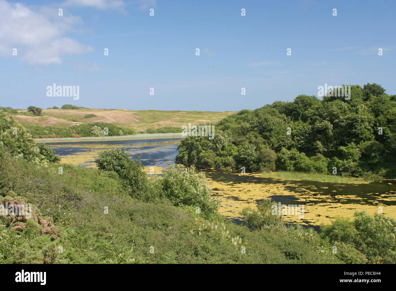 Lily ponds nature reserve hi-res stock photography and images - Alamy