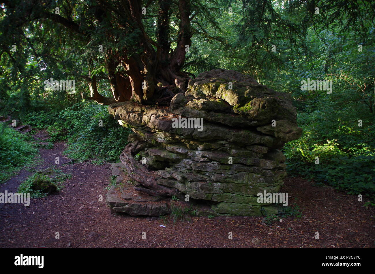 The Devil's Pulpit. Offa's Dyke Path. John o' groats (Duncansby head ...