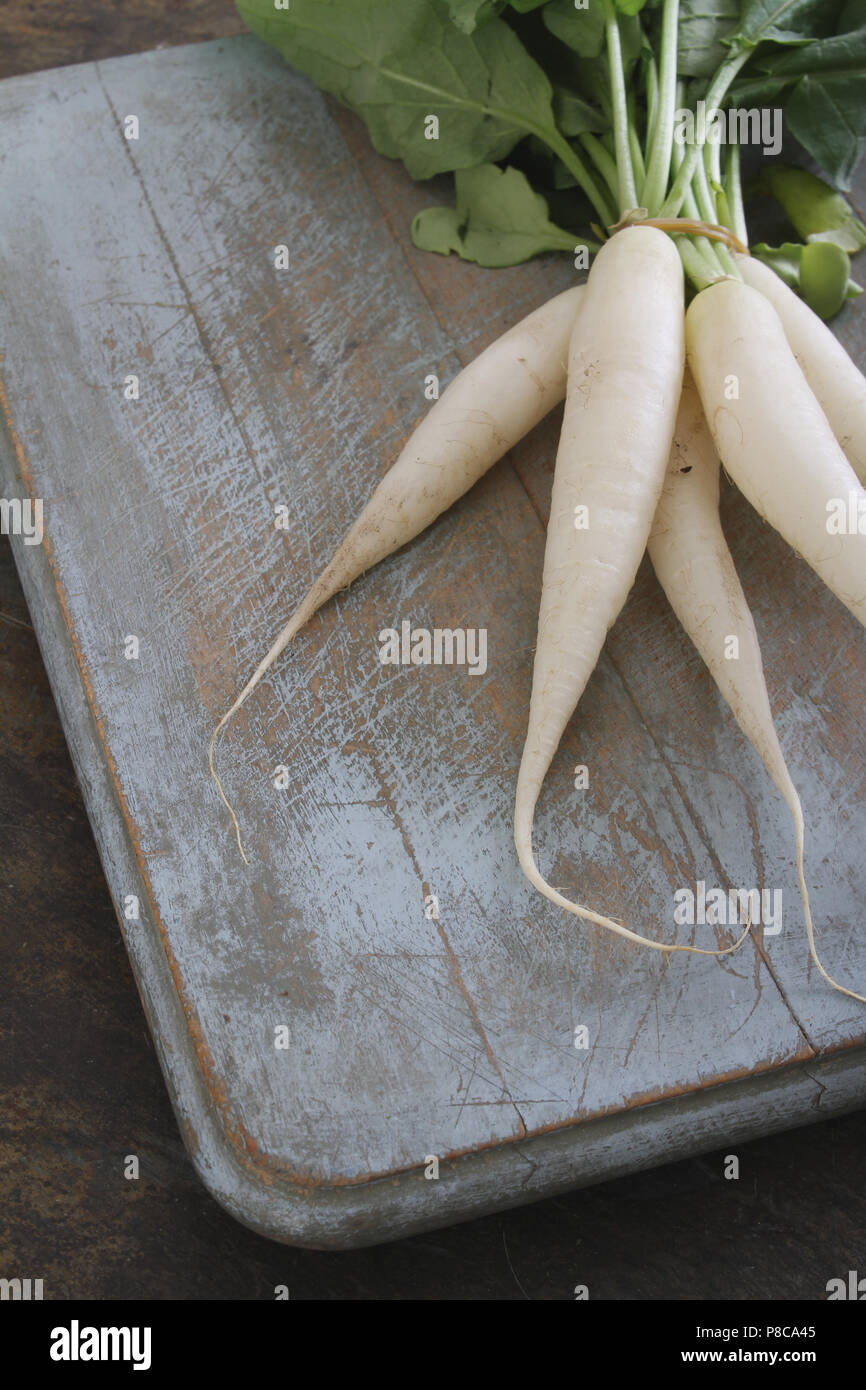 Napiform root hi-res stock photography and images - Alamy