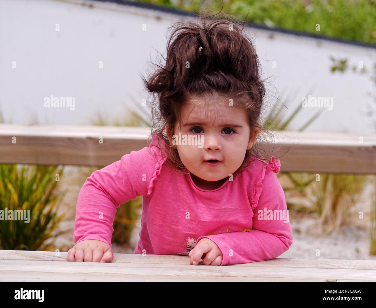 Baby girl white 20 months old big Natural Brown hair, Robert Taylor ...