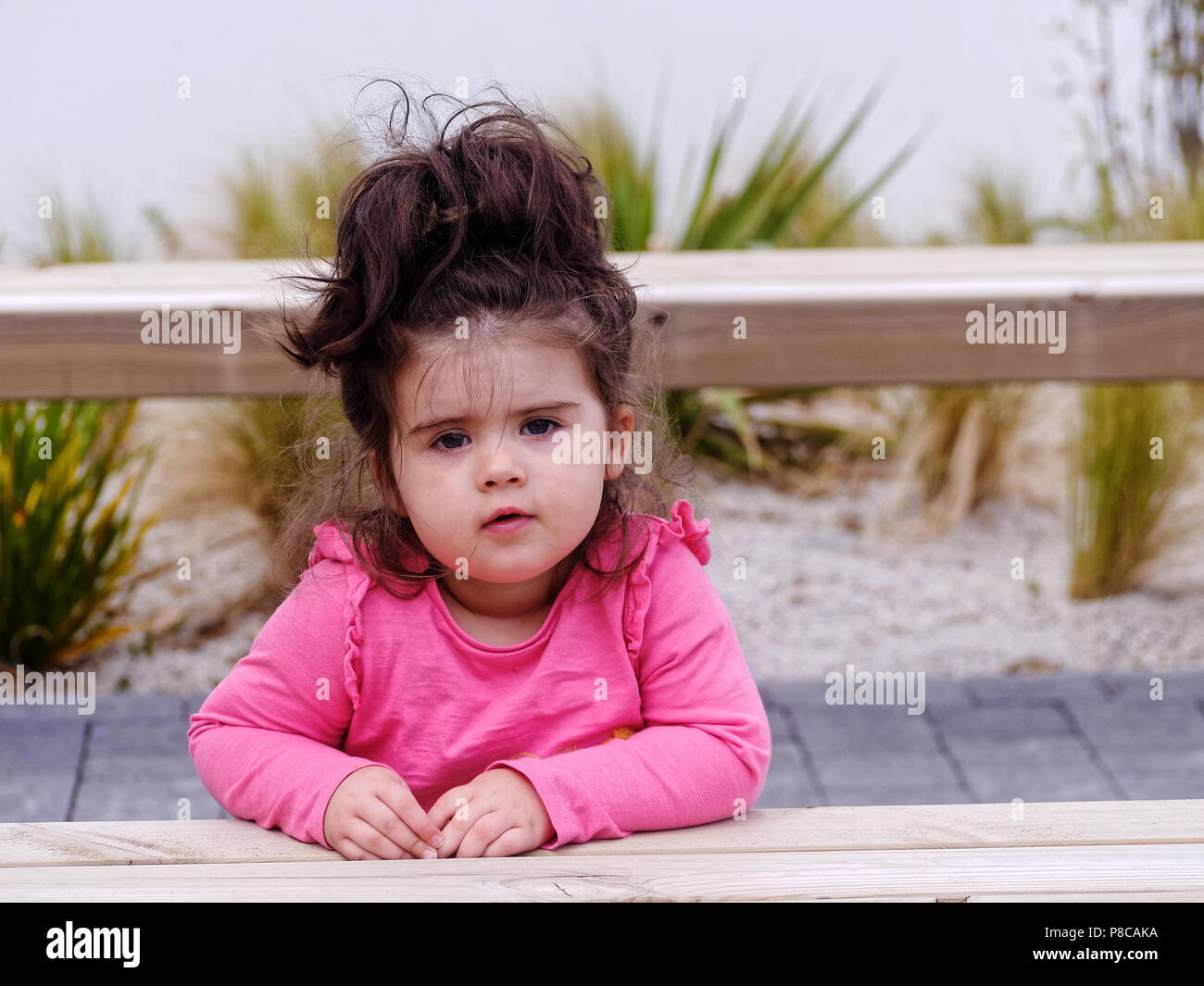 Baby girl white 20 months old big Natural Brown hair, Robert Taylor ...