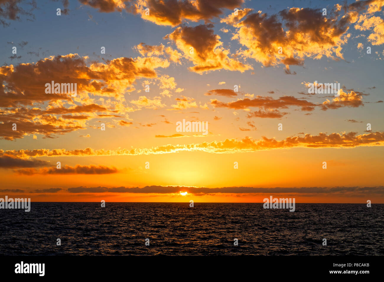 Visiting perth hi-res stock photography and images - Alamy