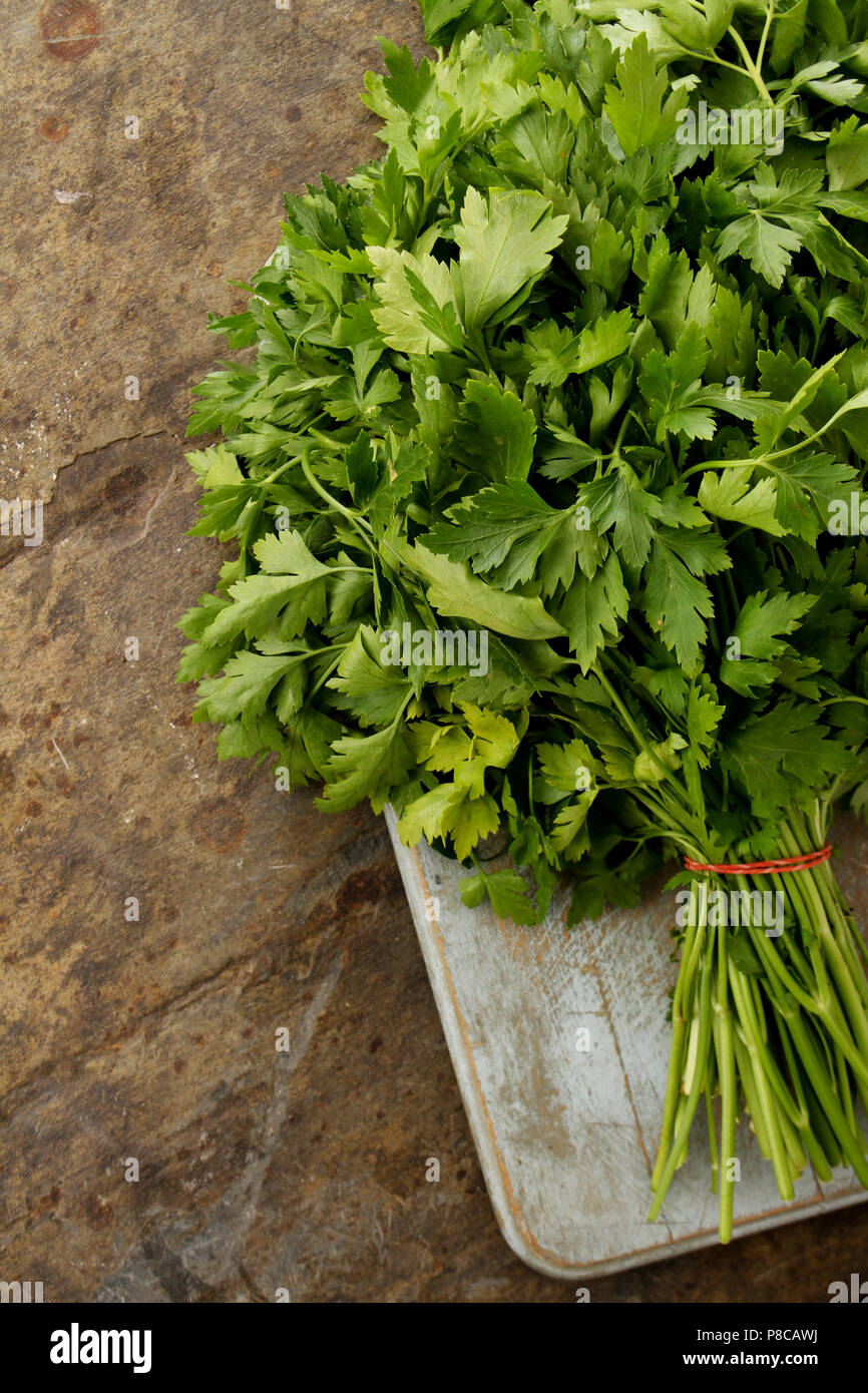 fresh flat leaf parsley bunch Stock Photo - Alamy