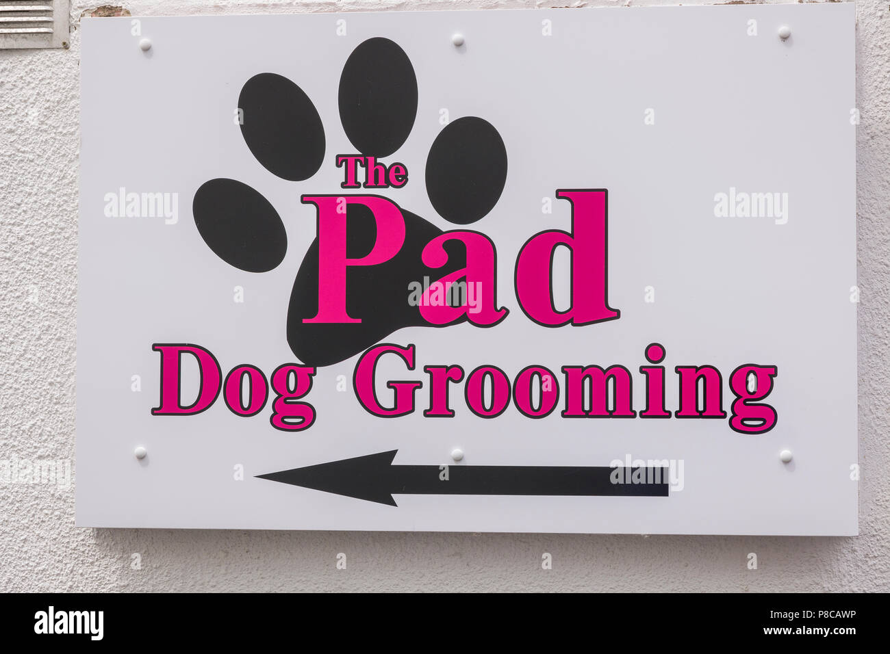 Dog parlour hi-res stock photography and images - Alamy