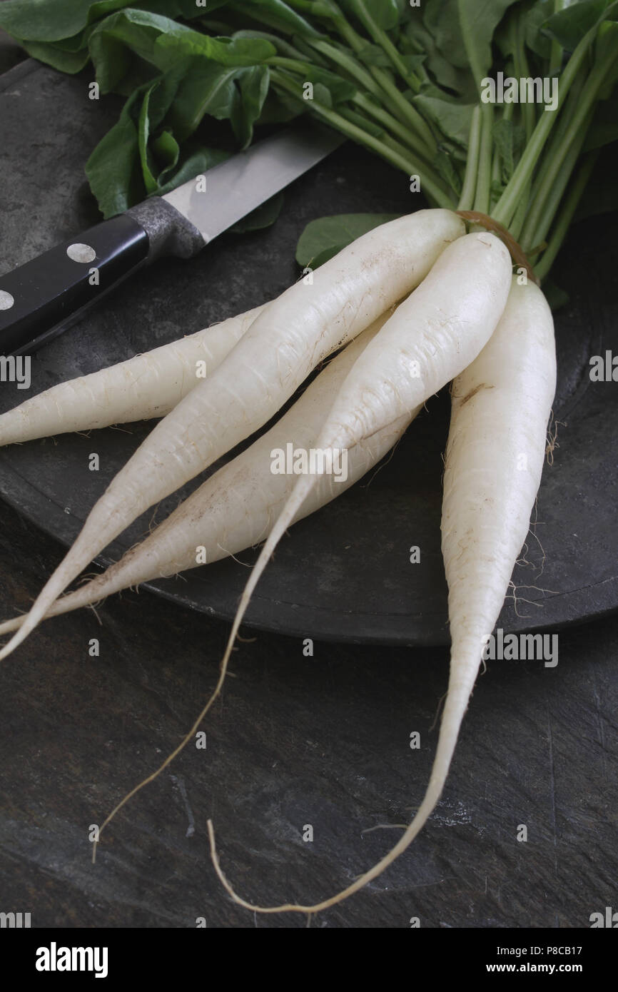 white daikon raddish Stock Photo - Alamy