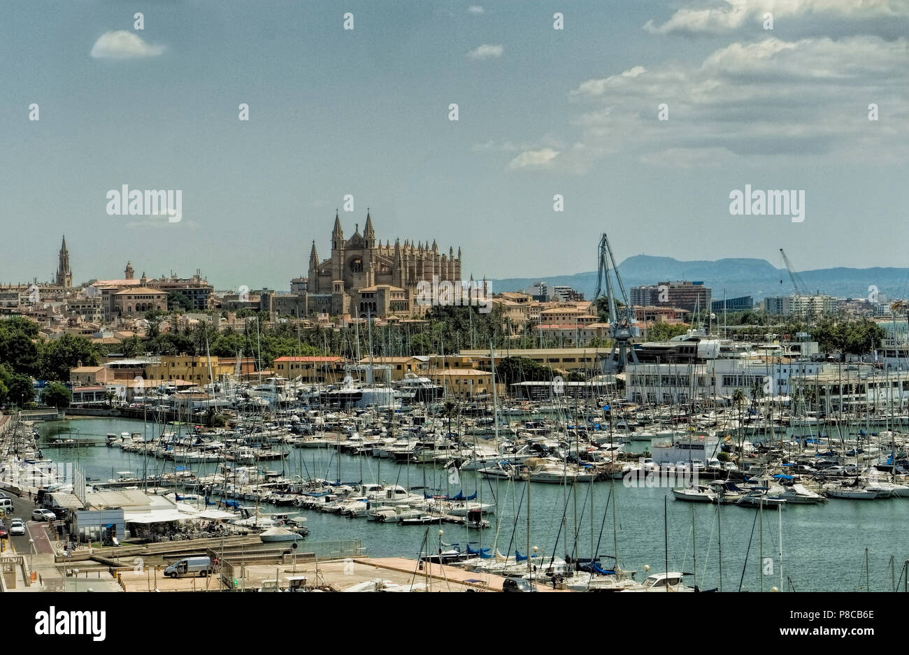 The Cathedral of Palma de Mallorca dominates the city, seen from the ...