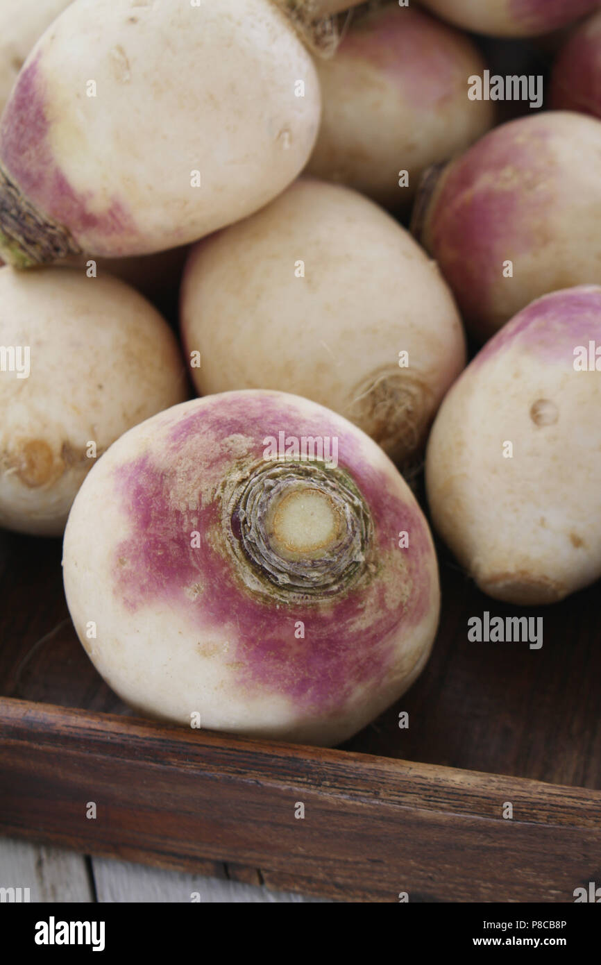 Washed turnips hi-res stock photography and images - Alamy