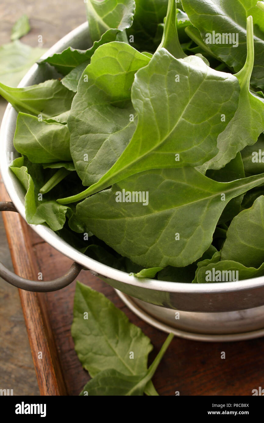 Marsh beet hi-res stock photography and images - Alamy