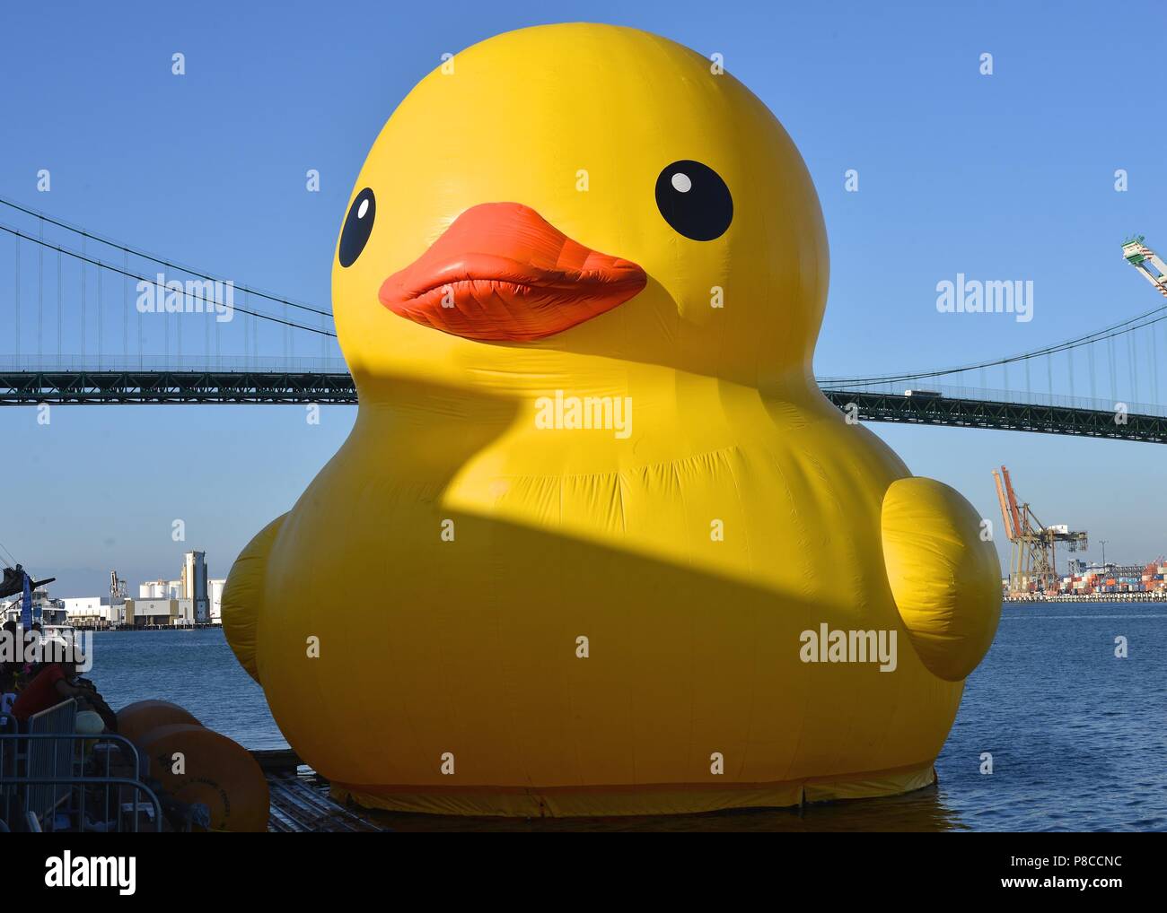 San Pedro, California, USA. 22nd Aug, 2014. Florentijn Hofman's Rubber ...