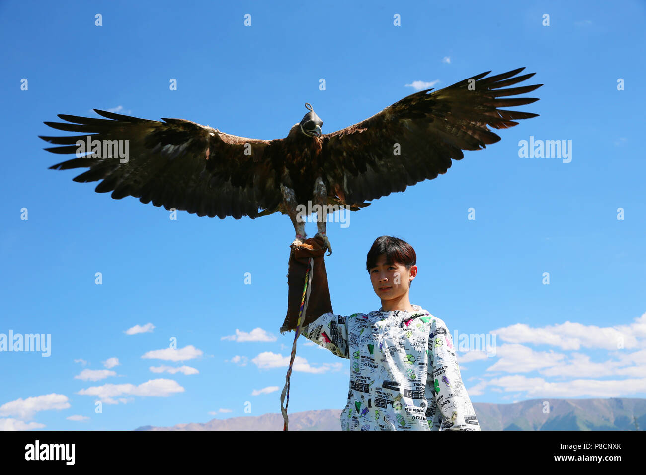 Baliku, China. 11th July, 2018. Summer scenery of Balikun Lake in Hami ...