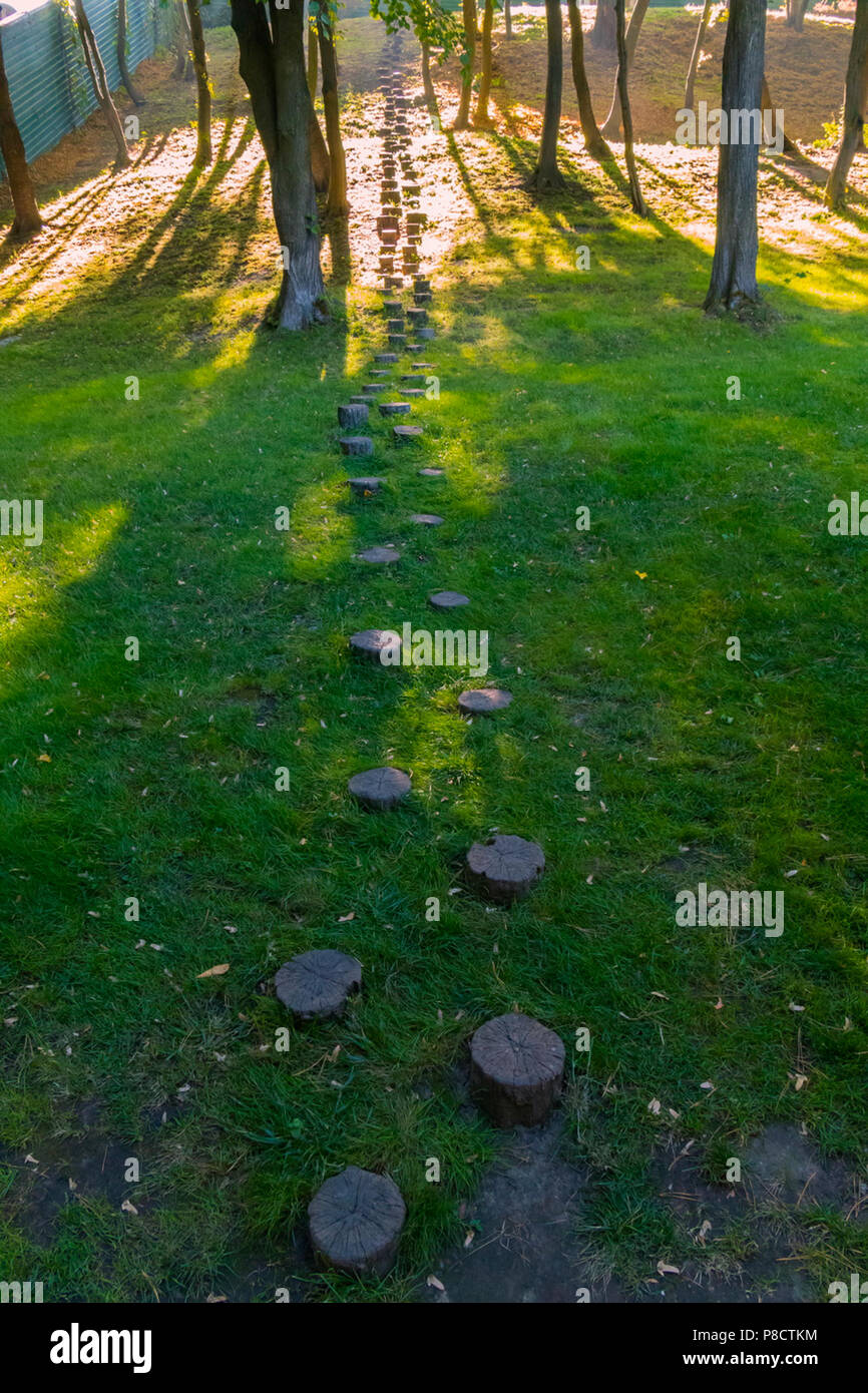 Stumps circle hi-res stock photography and images - Alamy