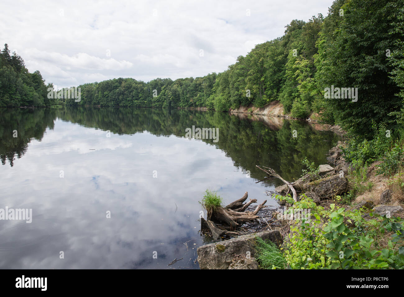 City Koknese, Latvia. Old river and green trees. Ruins and reflection ...