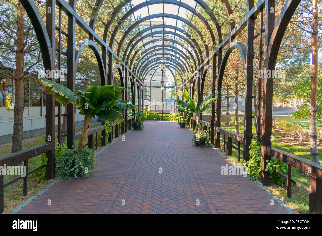 Paved walk walkway with a wooden frame and various decorative green ...